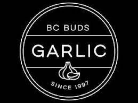 BC Buds Creamy Garlic Dip – BC Buds Garlic Dinners and Spices